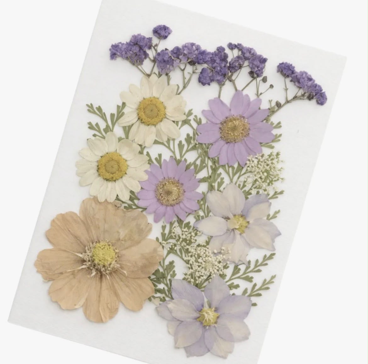 Dry Flowers for Resin Art, Jewelry Making, Keychain, Coaster, Tray ...