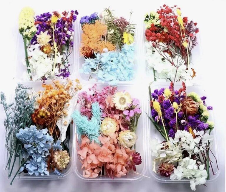 Dried Pressed Flowers for Resin Dry Leaves Bulk for Scrapbooking DIY ...